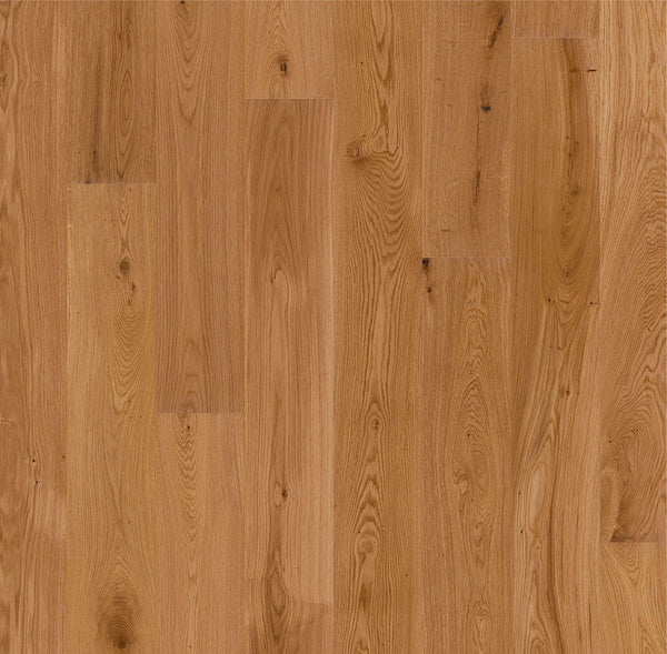 BEELINE HONEY - FOREVER Collection - Engineered Timber Flooring – The Solid Timber Flooring Co.